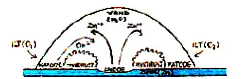 Hvidrust – hvorfor dannes det? Hvordan undgås det?